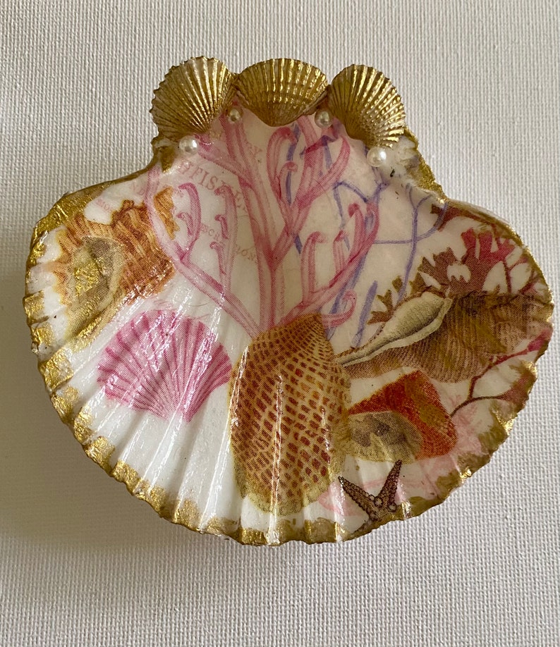 Sea Shells Ring Dish Decoupaged Scallop Shell Beach Decor Coastal Life ...
