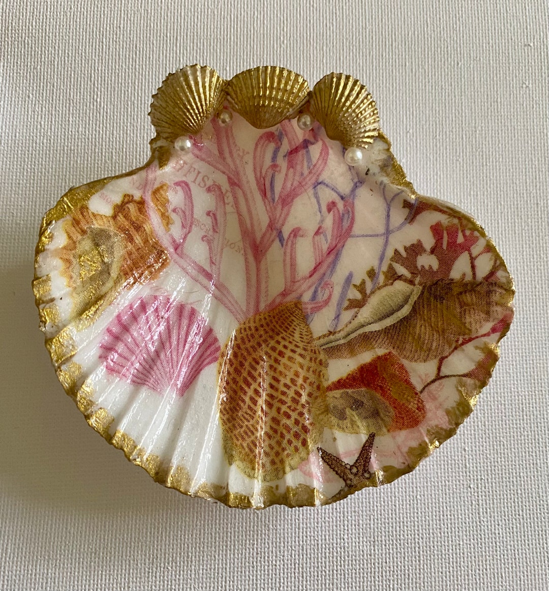 Sea Shells Ring Dish Decoupaged Scallop Shell Beach Decor Coastal Life ...