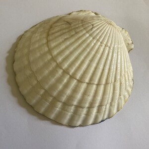 Hokusai the Great Wave off Kanagawa Trinket Holder, Shell Ring Dish ...