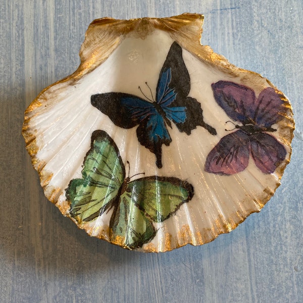 Shell Butterfly - Etsy