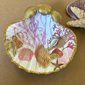 Sea Shells Ring Dish Decoupaged Scallop Shell Beach Decor Coastal Life Beach Lover Gift - Etsy