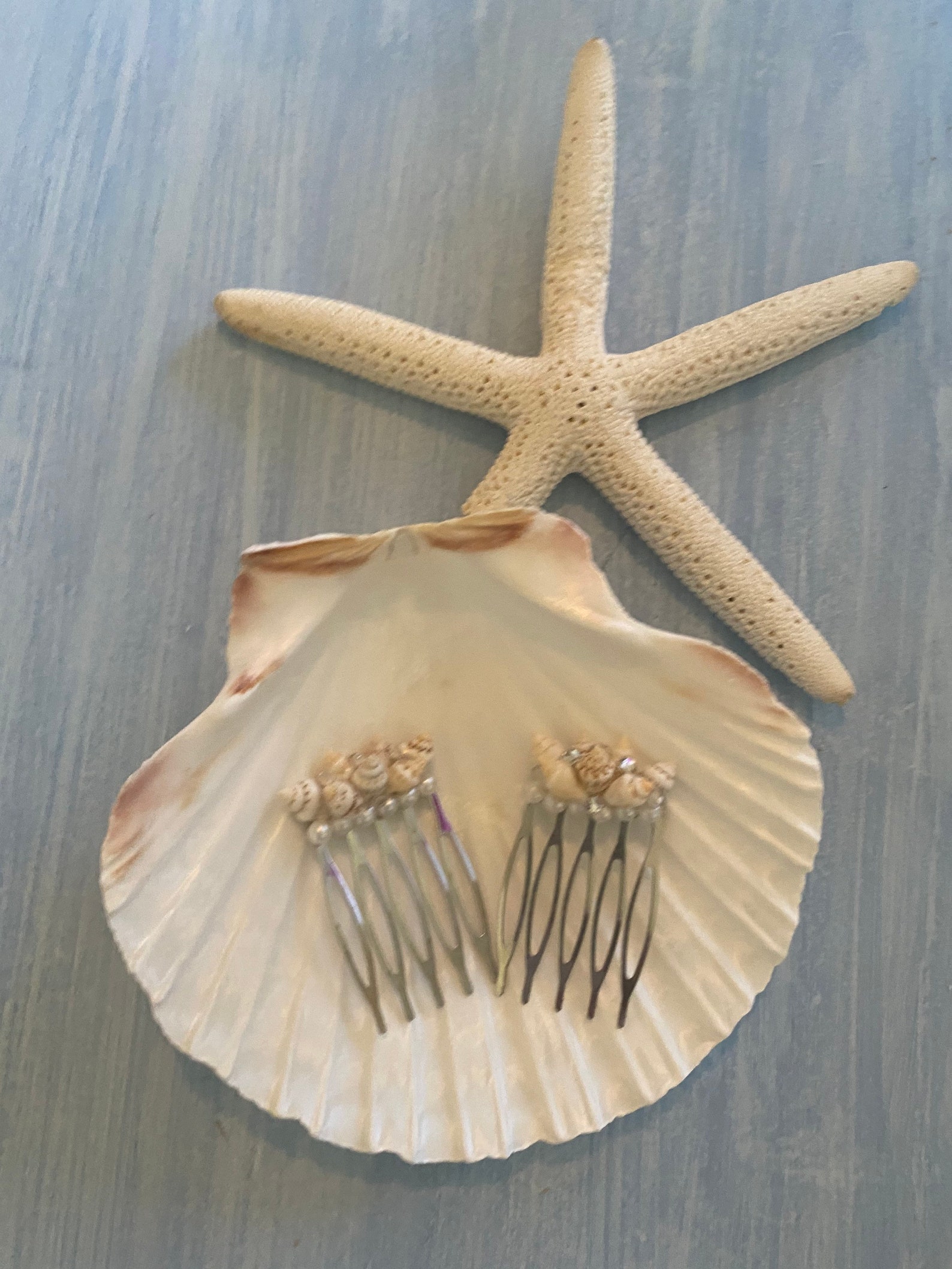 Silver Mermaid Hair Combs Natural Shells Pearls Embellished - Etsy