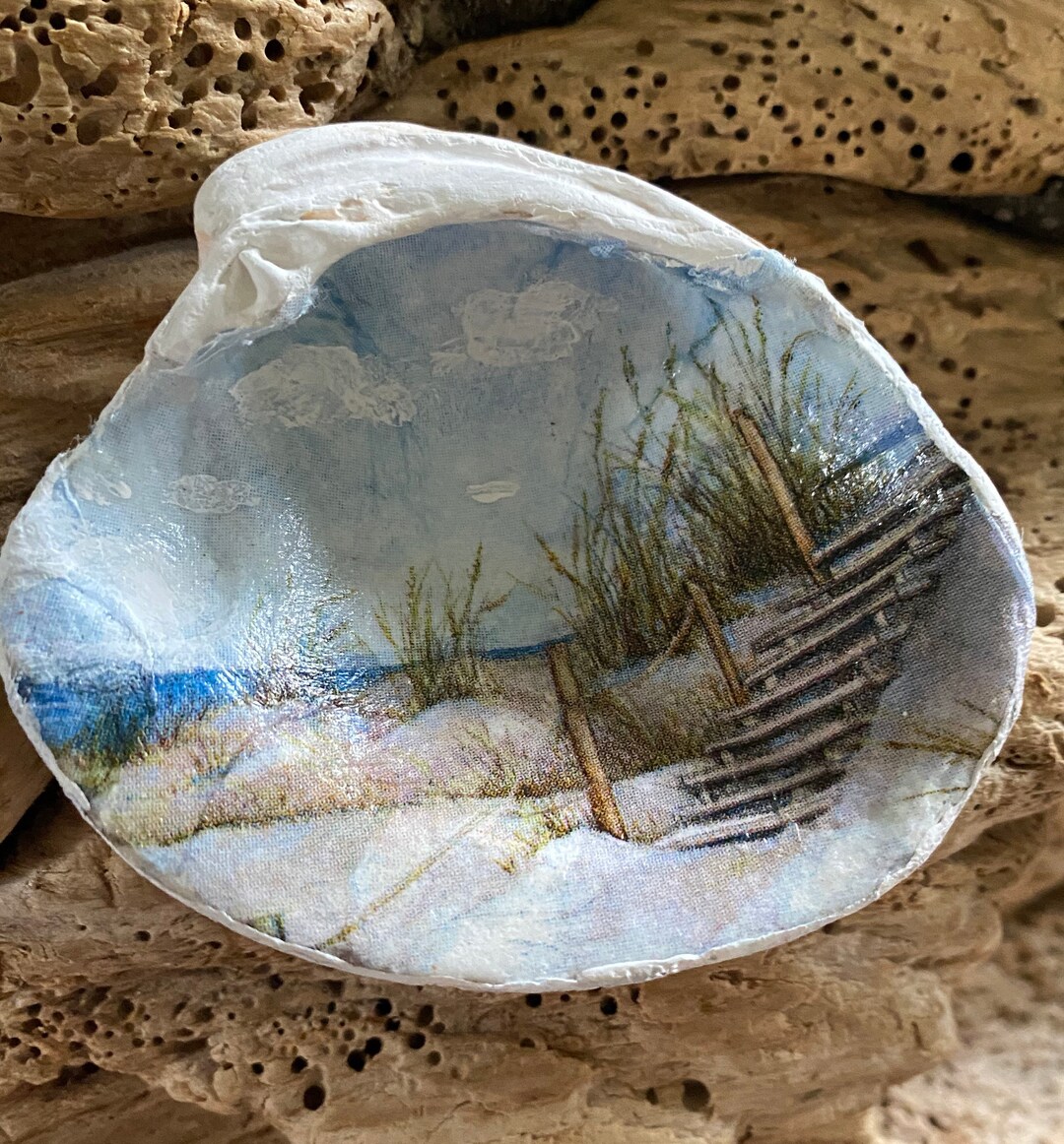 Clam Shell, Beach Theme, Decorative Jewelry/trinket Holder, Coastal ...
