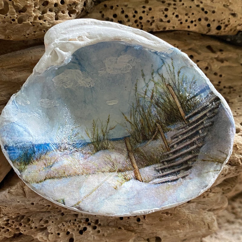 Painted Clam Shells - Etsy
