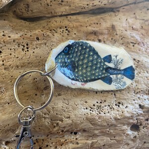 Oyster Shell Keychain With Lanyard Decoupage Fish Key Chain - Etsy
