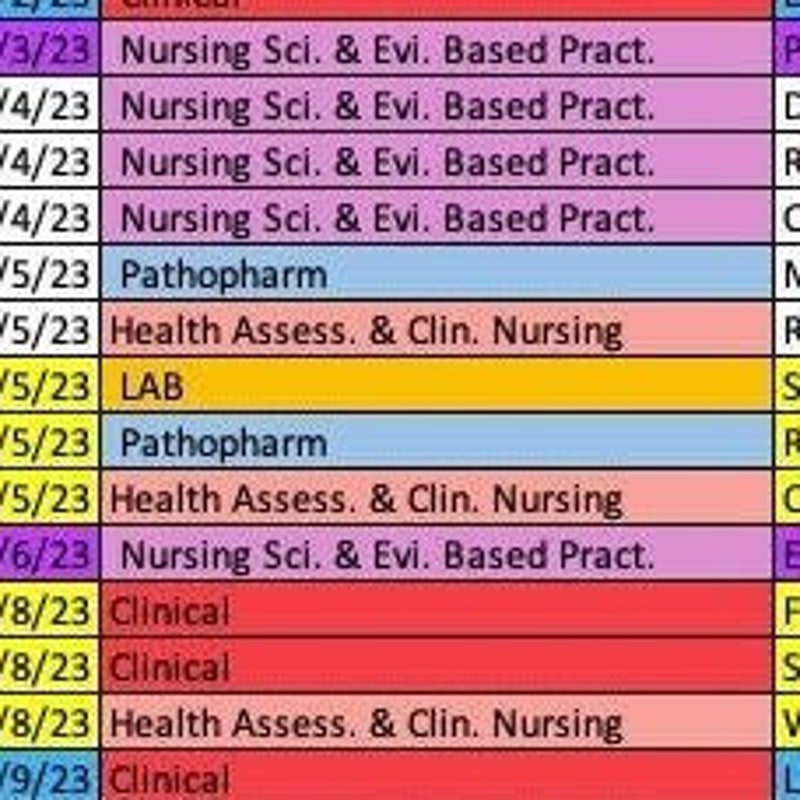 Nursing Assignment Template Etsy