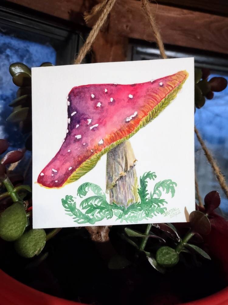 Whimsical Fairy Mushroom Painting - Etsy