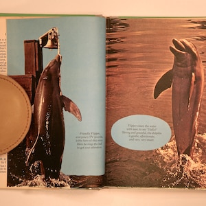 FLIPPER 1967 - Best in Children's Books - Etsy