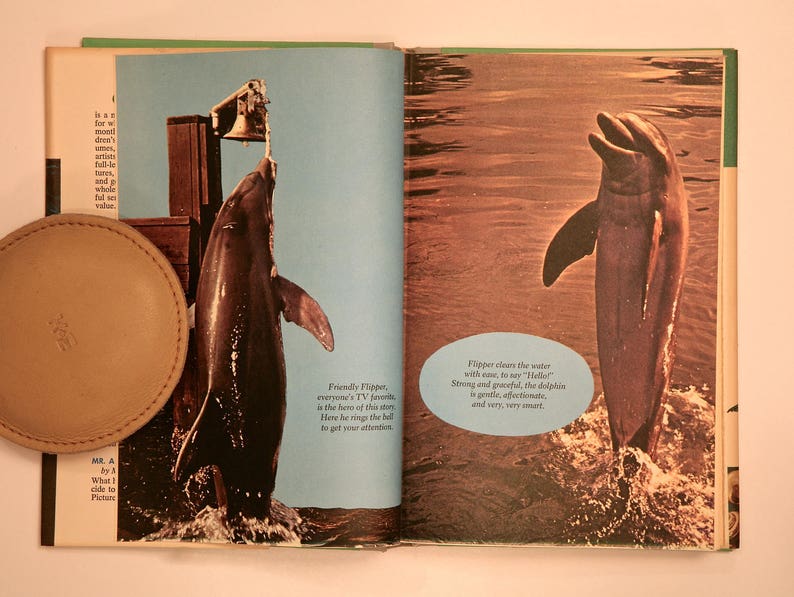 FLIPPER 1967 Best in Children's Books - Etsy