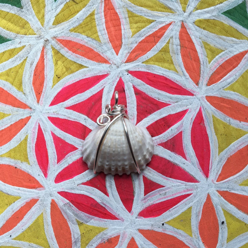 Sea Shell Wire Wrap - Etsy