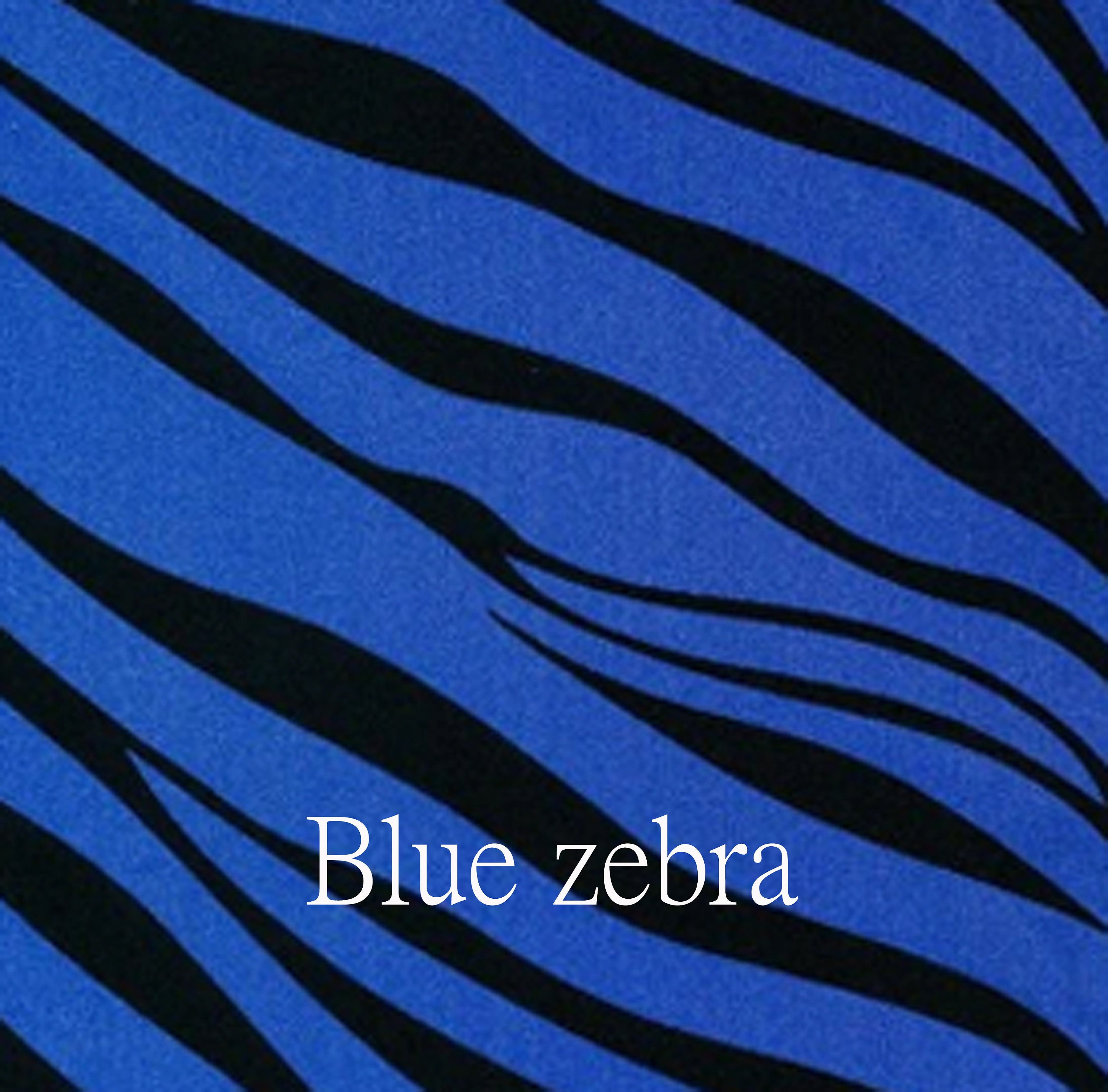 Women One Piece High Cut Swimsuit, Zebra Sky Monokini, Women White ...