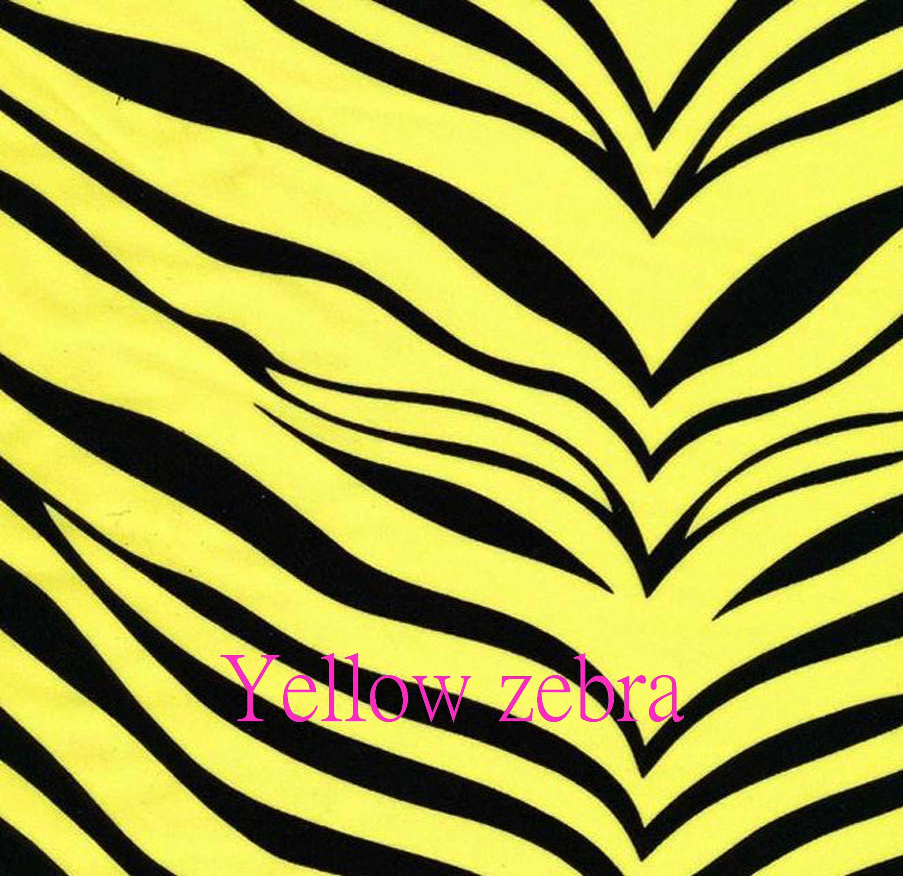 Women One Piece High Cut Swimsuit, Zebra Sky Monokini, Women White ...