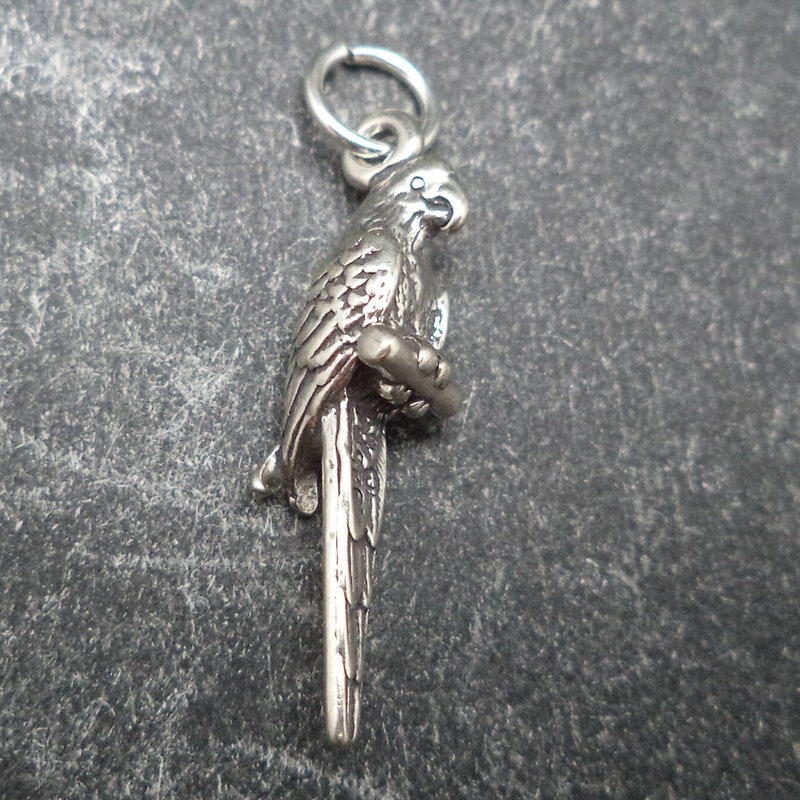 Parrot Charms - Etsy
