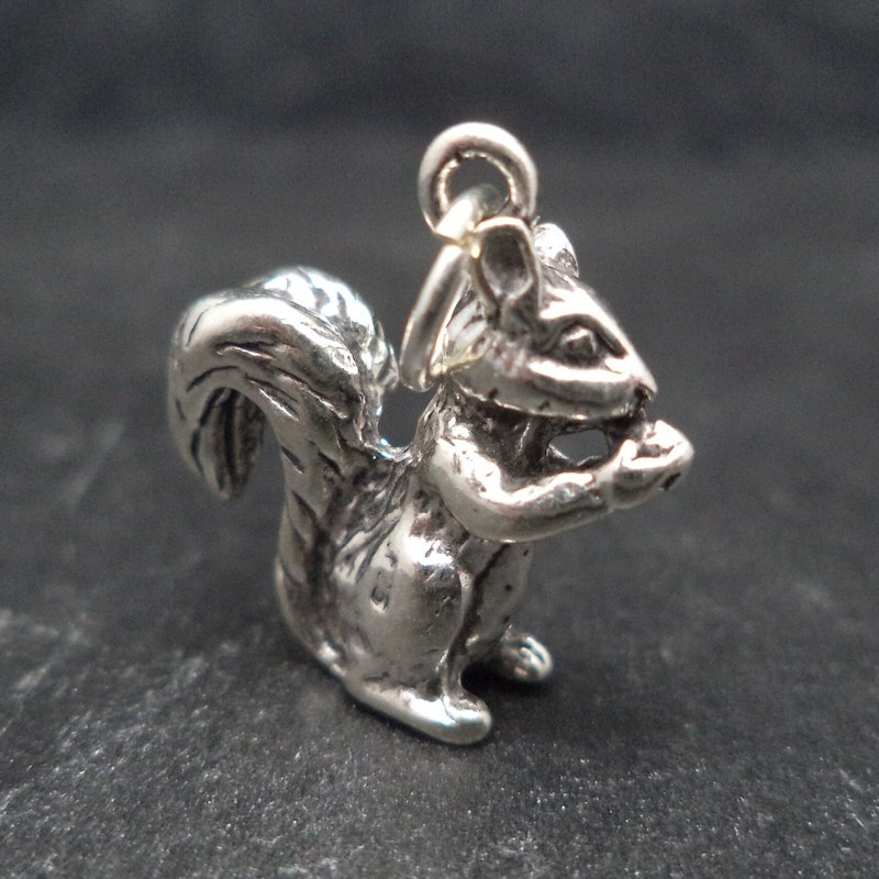Squirrel Charms - Etsy