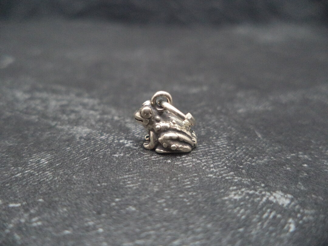 STERLING SILVER 3D Tiny Small Frog Charm for Charm Bracelet - Etsy