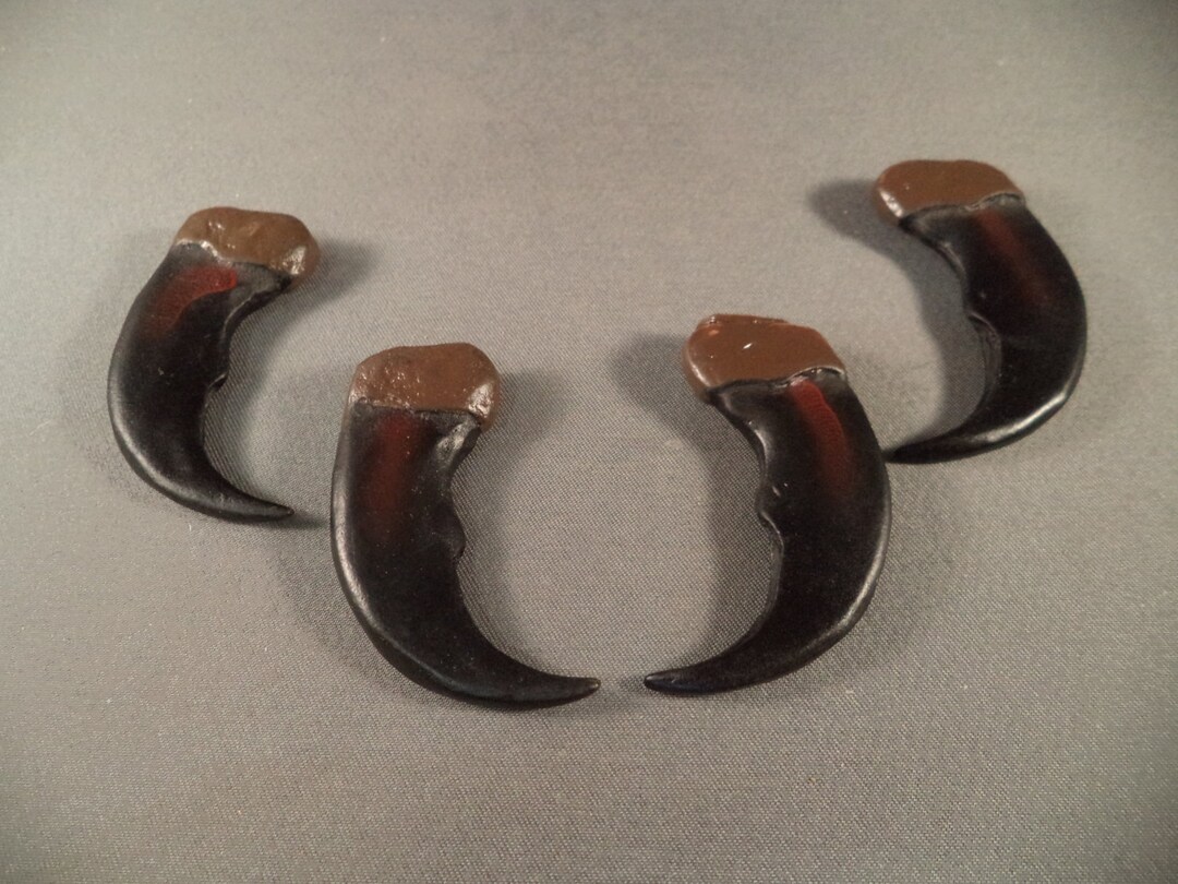 Four Bear Claw Replicas, Cast in Resin From an Actual Bear Claw. - Etsy