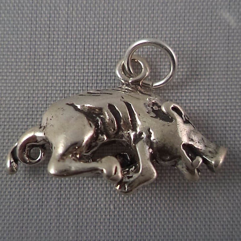 Arkansas Razorbacks - Etsy