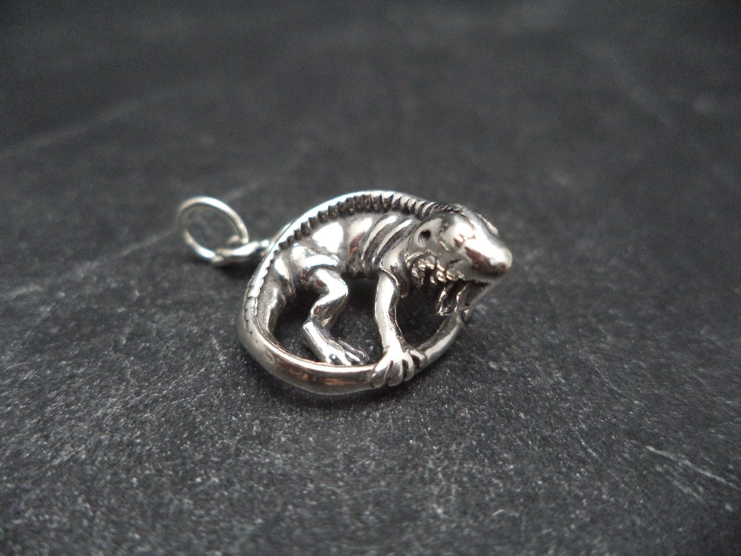 STERLING SILVER 3D Iguana Lizard Charm for Charm Bracelet - Etsy