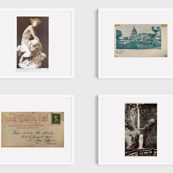 Black and White Postcard - Etsy