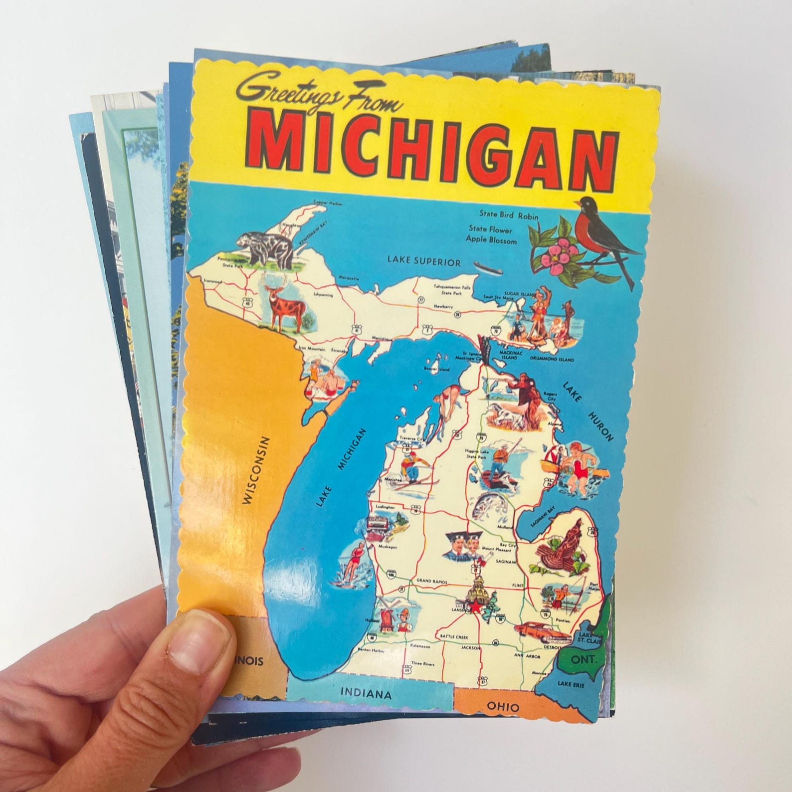 Michigan Gift Postcards Set of 10 Blank Postcards From Mackinac Island ...