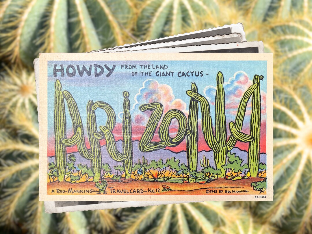Vintage Arizona Postcard Set of 25 Chrome Postcards Arizona - Etsy