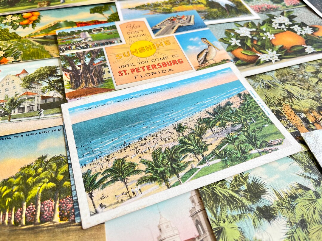 Florida Postcard Set 10 Posted & Blank Vintage Postcards From Florida ...
