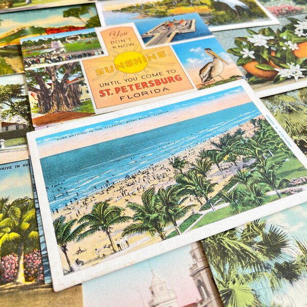 Florida Postcard - Etsy
