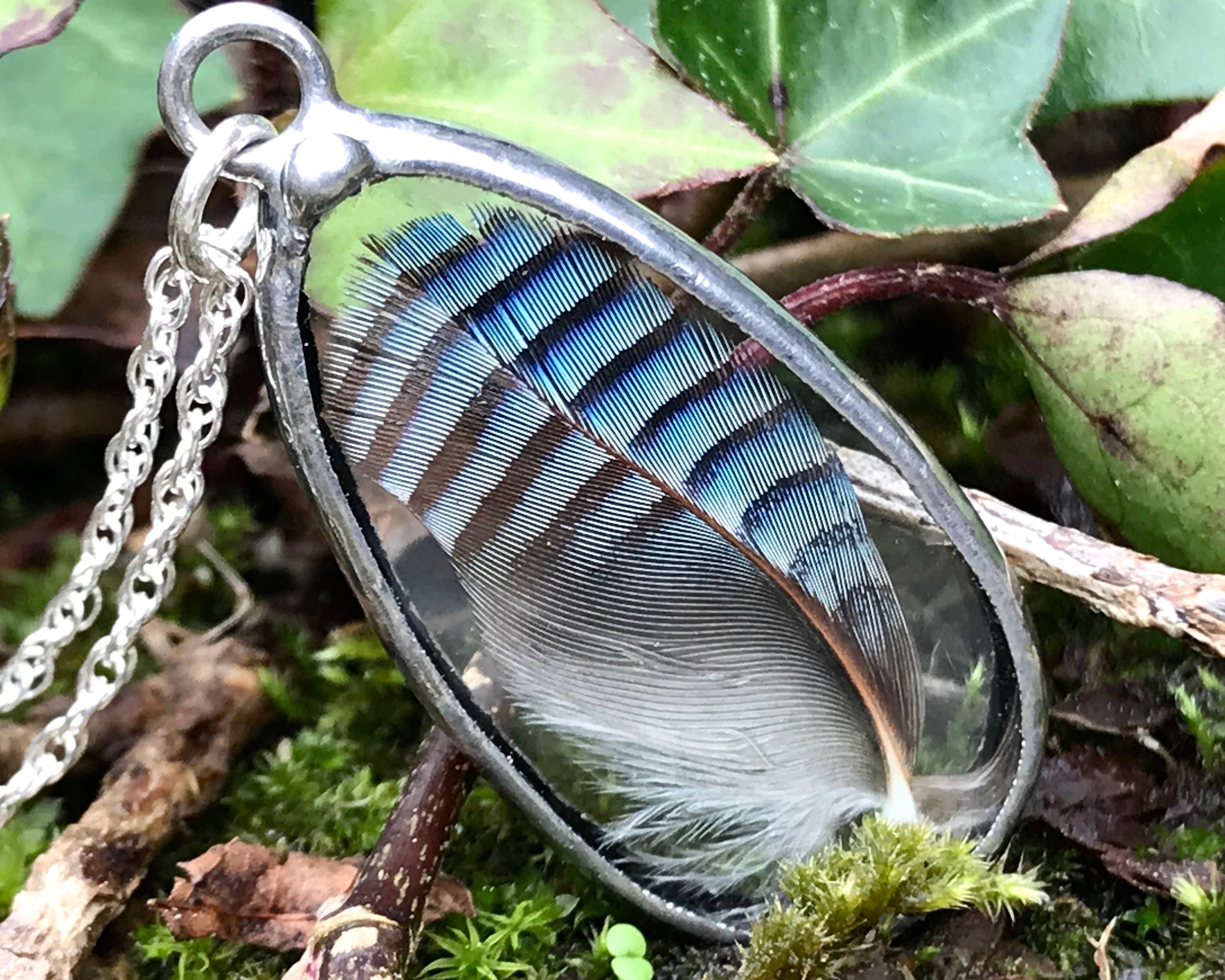 Small Blue Jay Feather Pendant Real Feather Necklace on a | Etsy