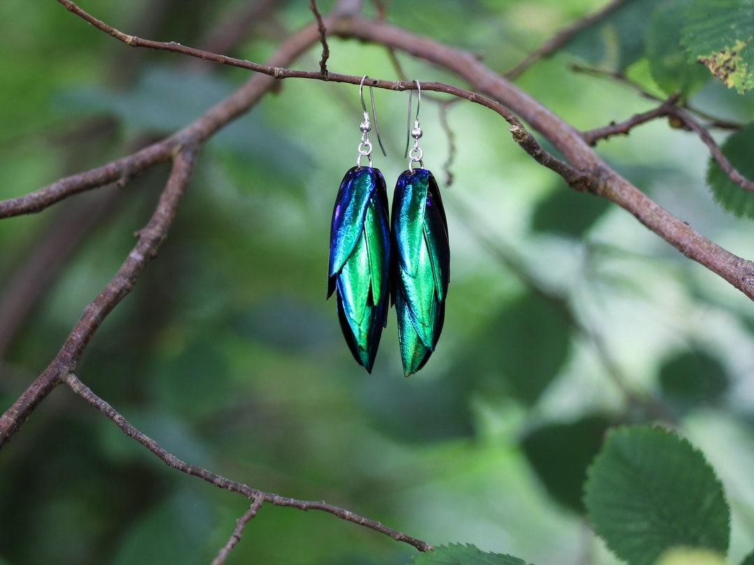 Beetle Wing Earrings With Sterling Silver Ear Wires, Gothic Earrings ...