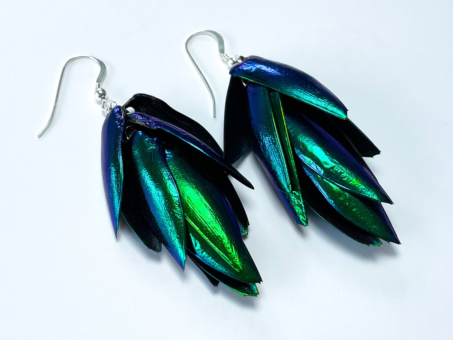 Beetle Wing Earrings With Sterling Silver Ear Wires, Gothic Earrings ...