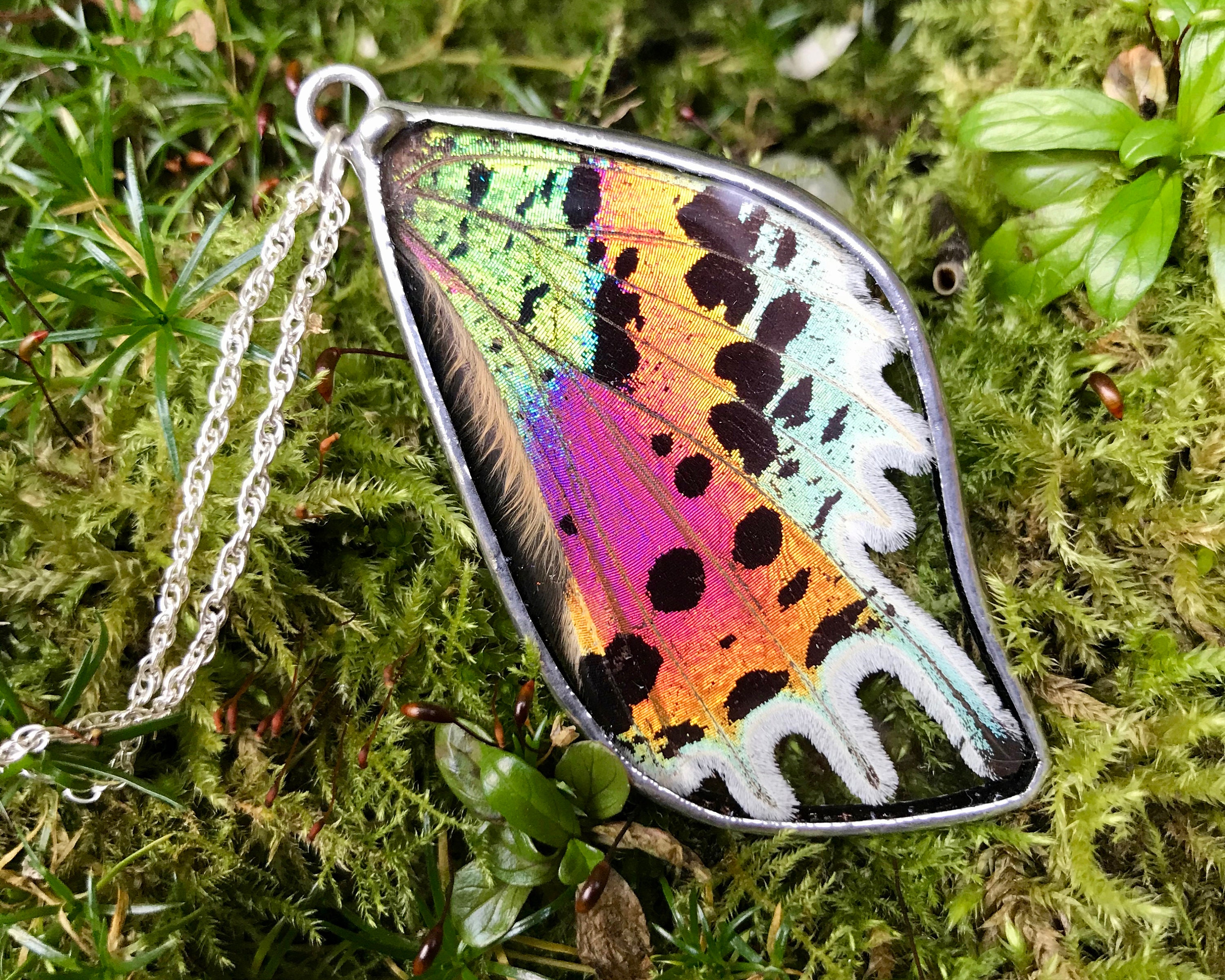 Real Sunset Moth Wing Multi Coloured Reversible Pendant | Etsy