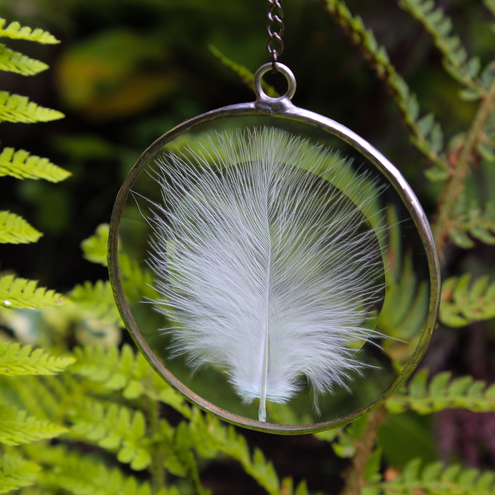 Angel Feather Suncatcher in Bevelled Glass - Etsy
