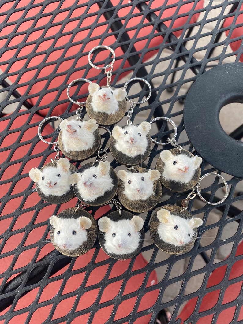 Taxidermy Mouse Keychain - Etsy