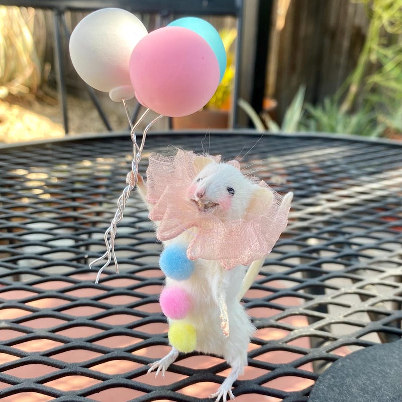 Taxidermied Plush Animal - Etsy