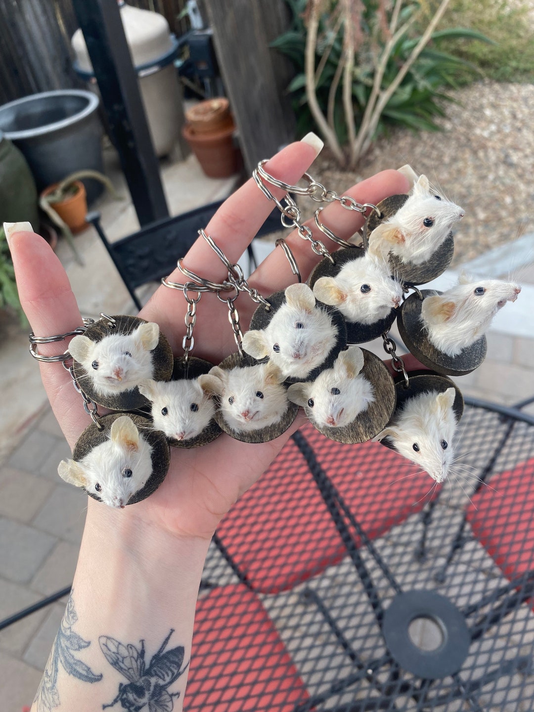 Taxidermy Mouse Keychain - Etsy