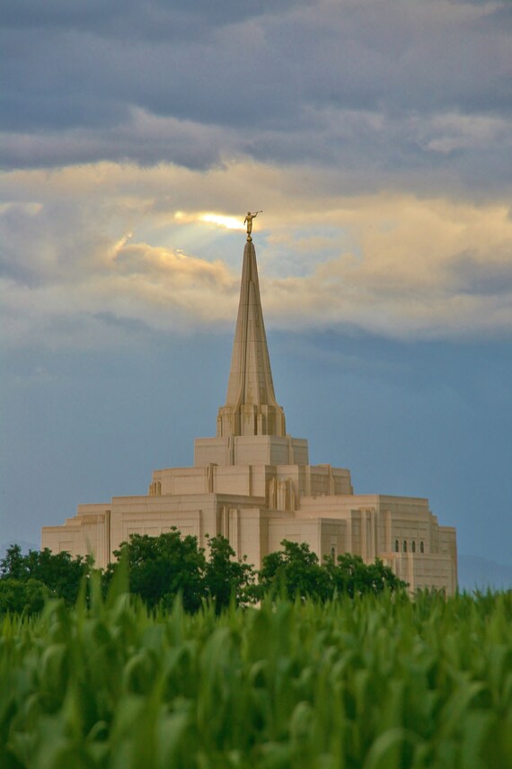 The Shadows Flee | Etsy