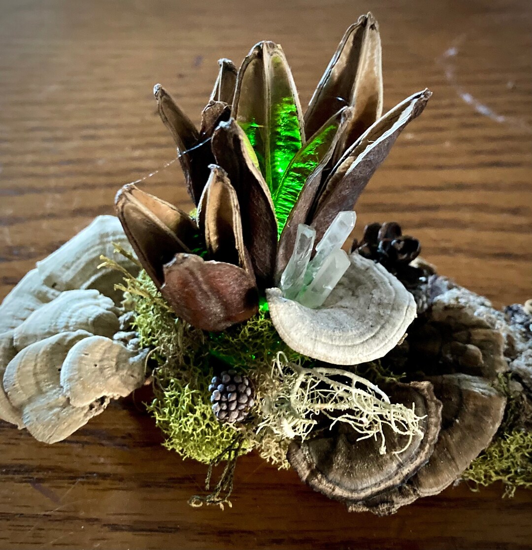 COLOR-CHANGE Fairy LAMP Light Up, Seed Pod Light, Fairy House, Fairy ...