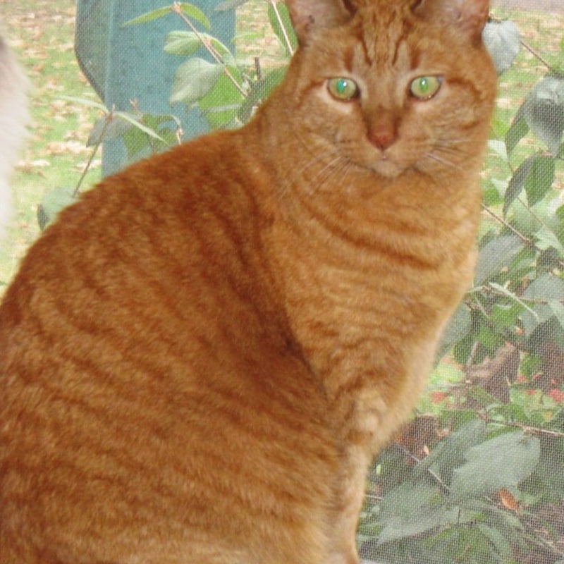 EPatrickGallery - Etsy