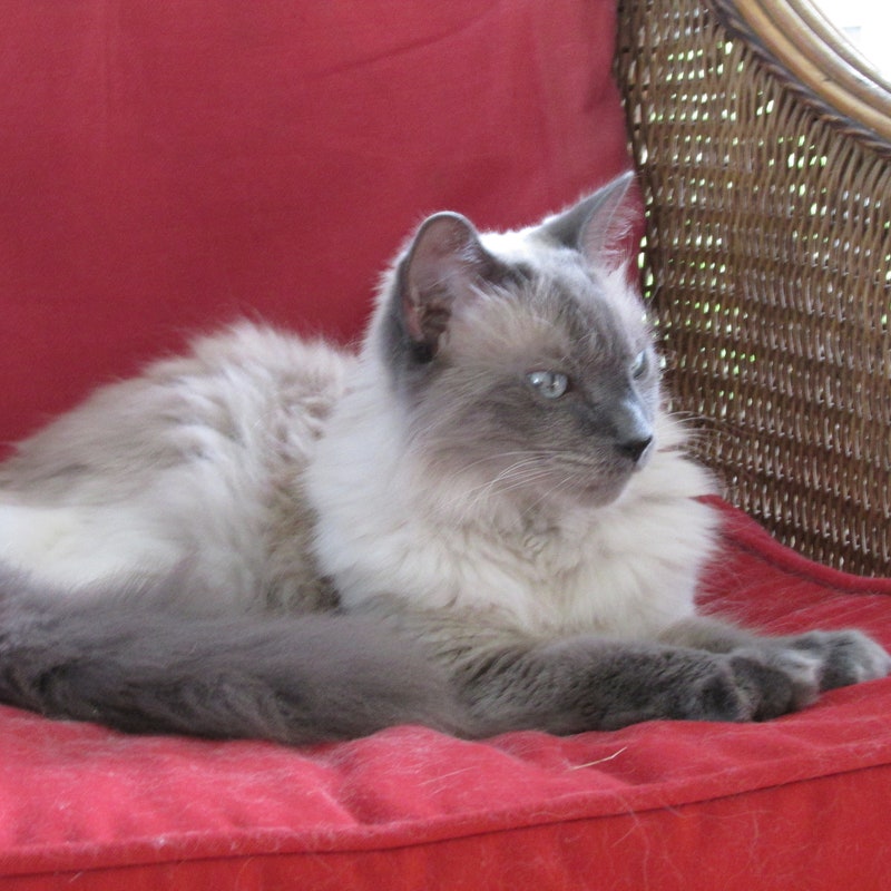 EPatrickGallery - Etsy