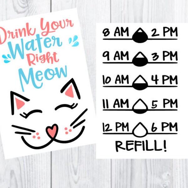 Water Bottle Tracker Decal - Etsy