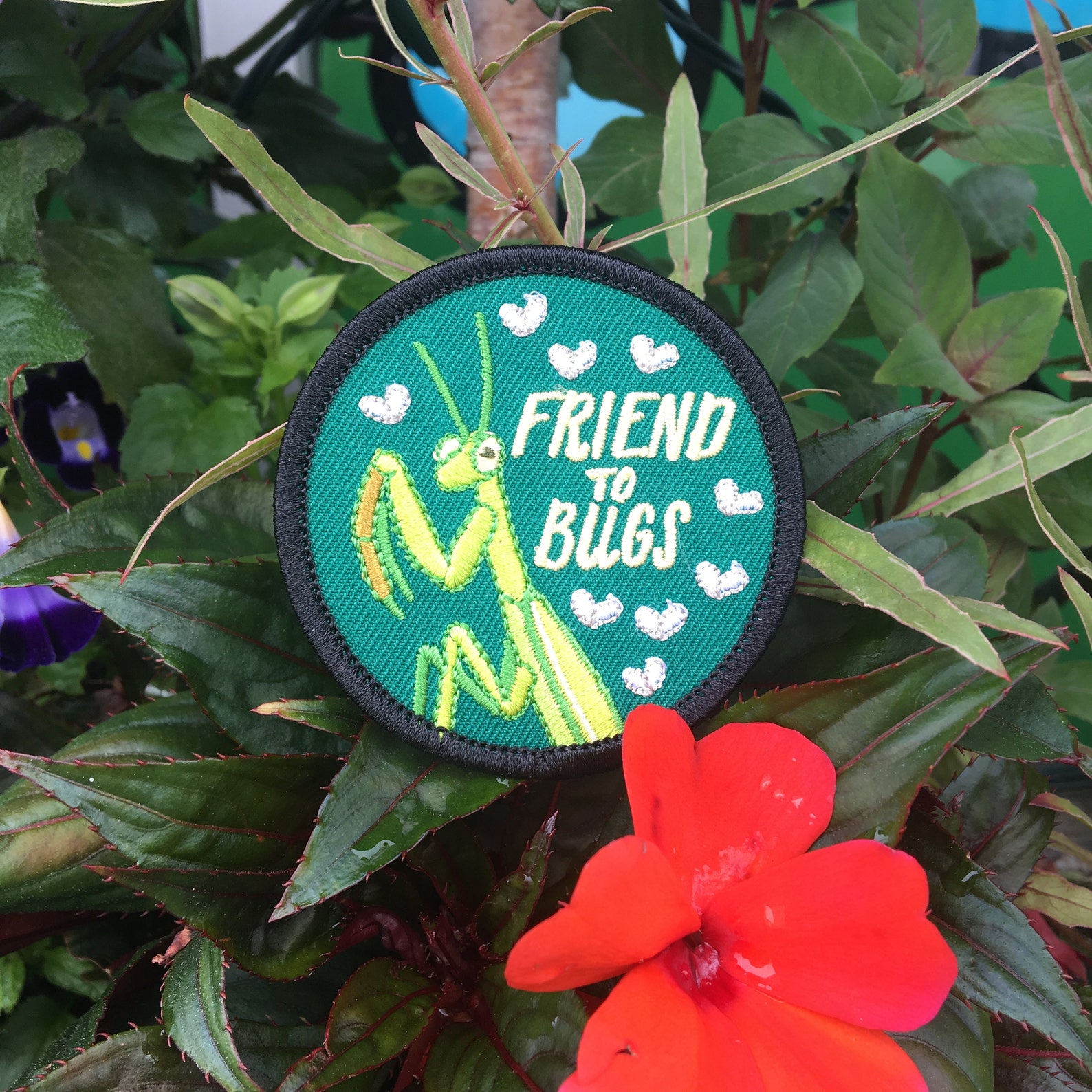Friend to Bugs Patch - Etsy
