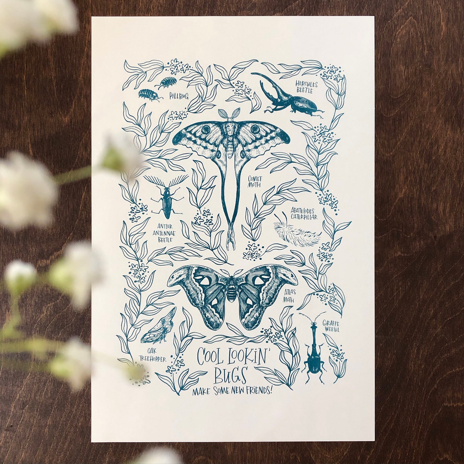 Cool Lookin' Bugs Print - Etsy