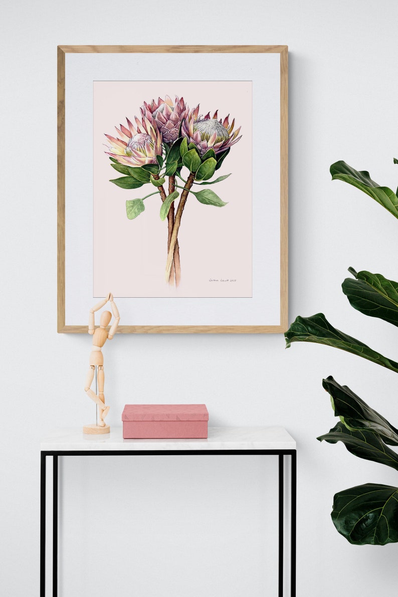 Majestic King Proteas Limited Edition Print 250 Only - Etsy Australia