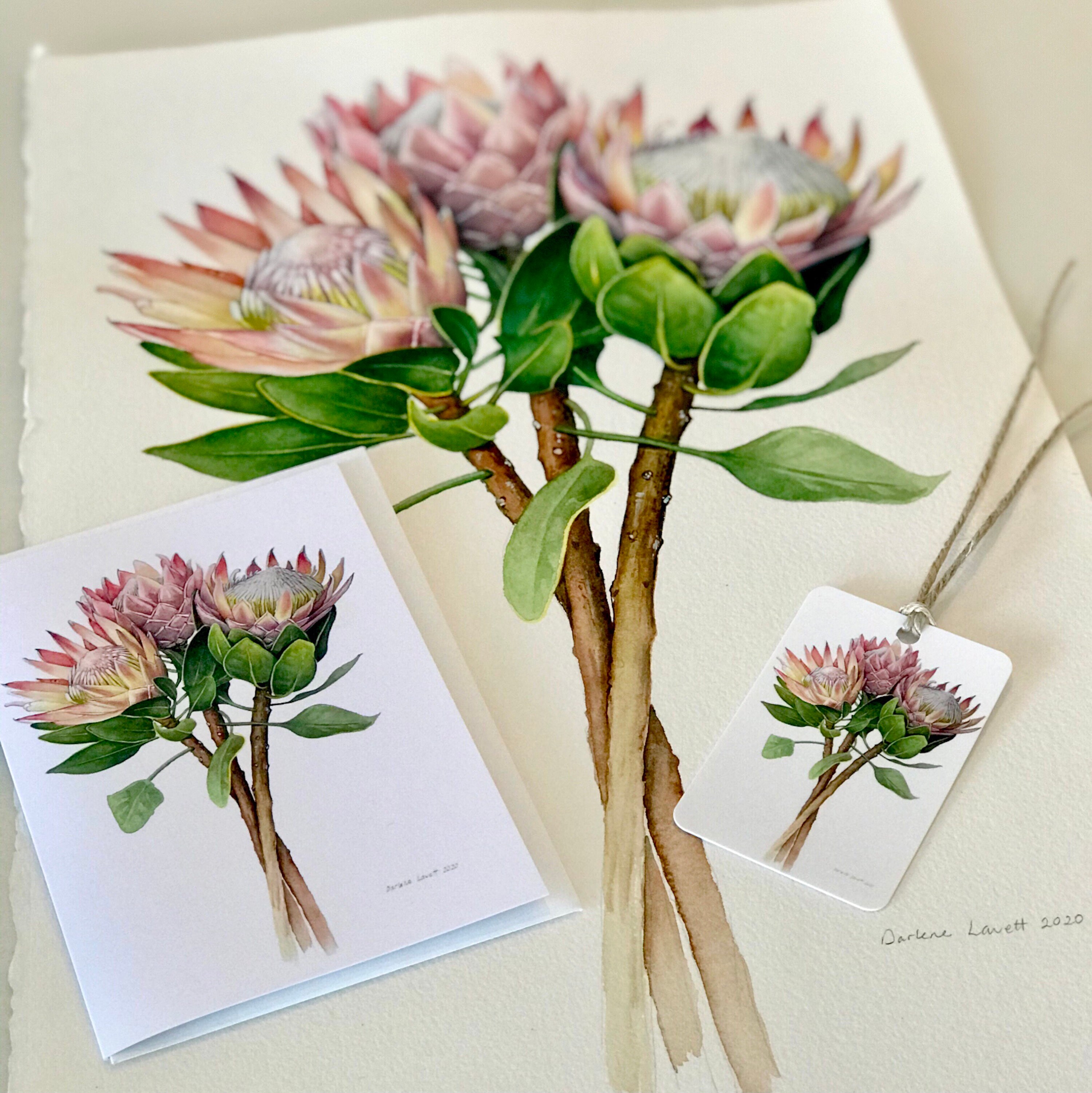 Majestic King Proteas Limited Edition Print 250 Only - Etsy Australia