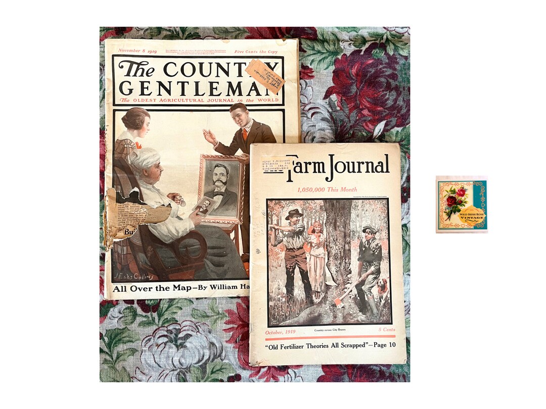 Antique Farm Journal 1919 Farm Magazines Set of 2 Country Gentleman ...