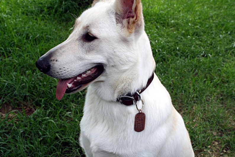 Thor's Hammer Pet Tags Pet ID Tag Dog Tag Dog ID - Etsy