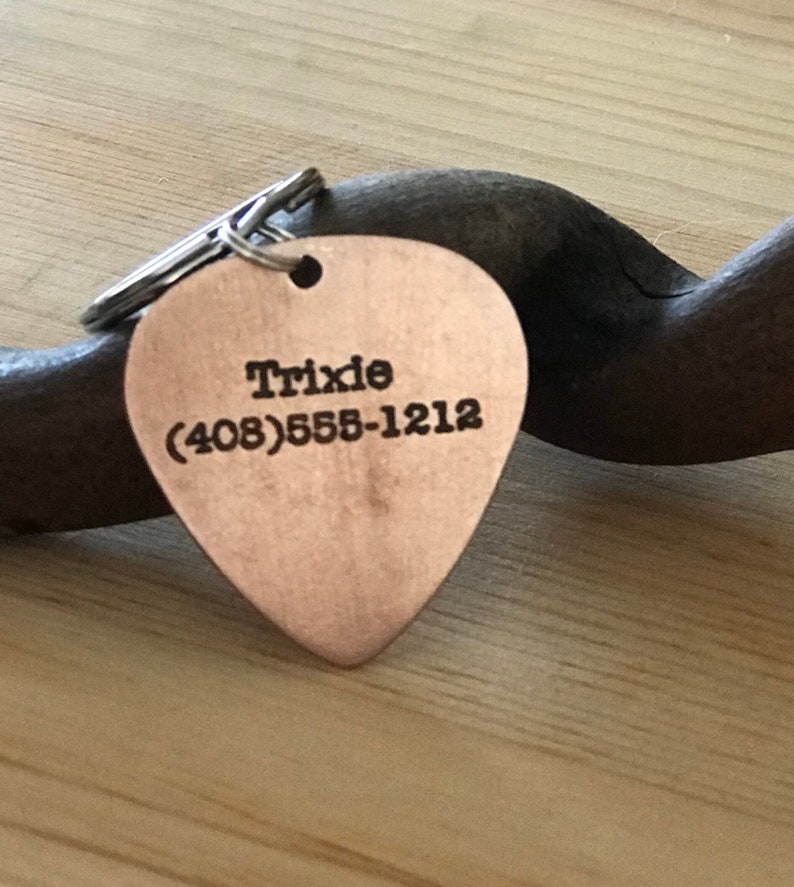 I Am A Indoor Only Cat Pet Tags Pet ID Tag Cat Tag Cat - Etsy Canada