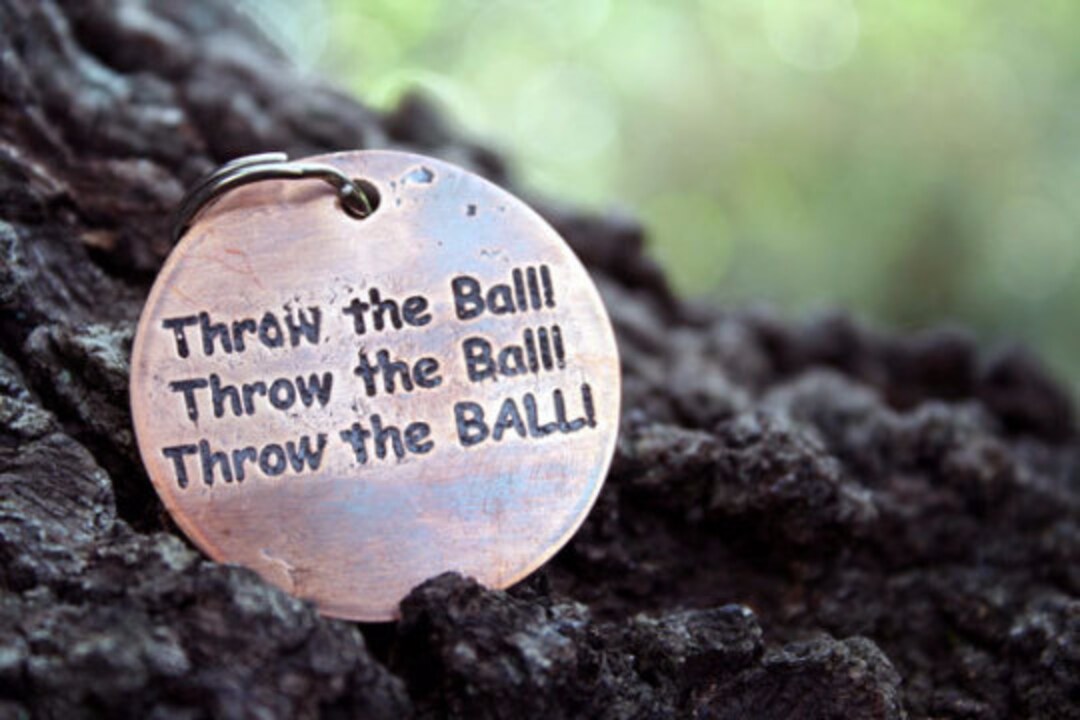 Dog ID Tag Pet Tags Pet ID Tag Dog Tag Custom Dog Tag Personalized Dog ...