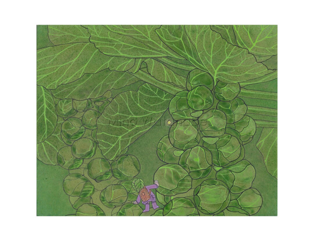 Brussels Sprouts Fairy - Vegetable Spirit Series Illustration ...