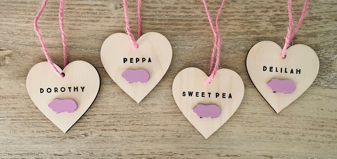 Personalised Guinea Pig Name Tags, Gift for Guinea Pig Lovers, Hanging ...